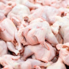 Cajón de pollo – PIQUIMAU