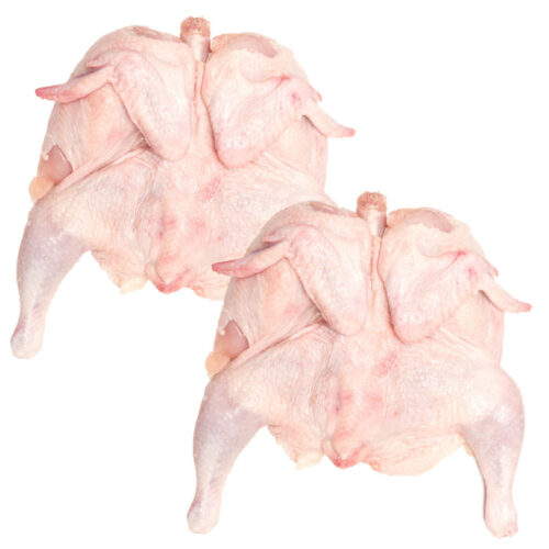 Cajón de pollo – PIQUIMAU